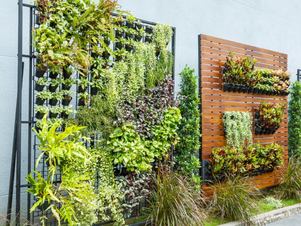 Healthy Vegetable Garden